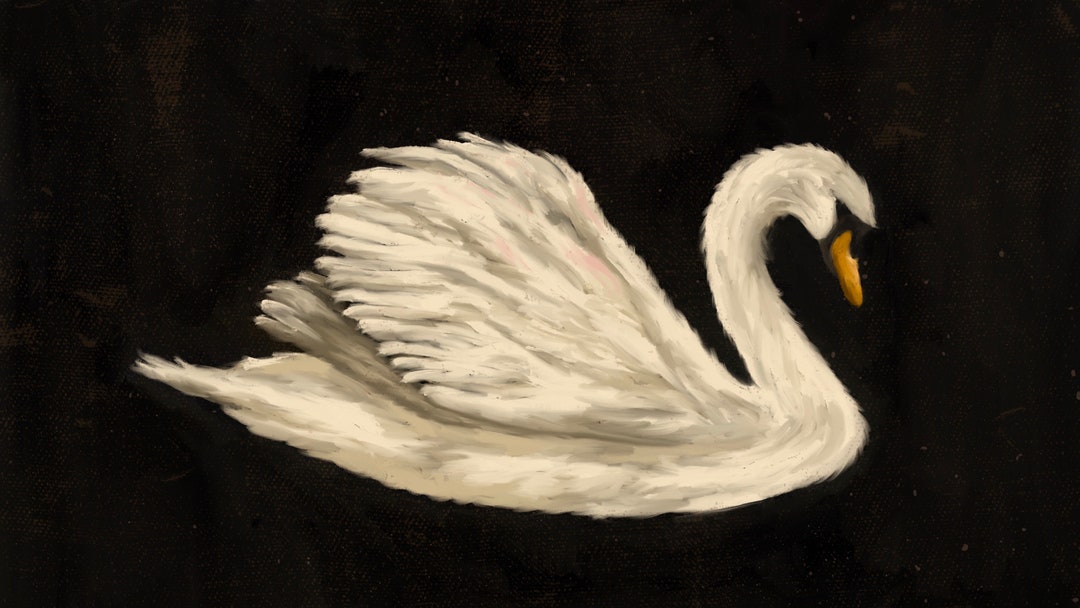 Samsung Frame Tv Swan Art Frame Tv Art Swan Art Frame Tv - Etsy