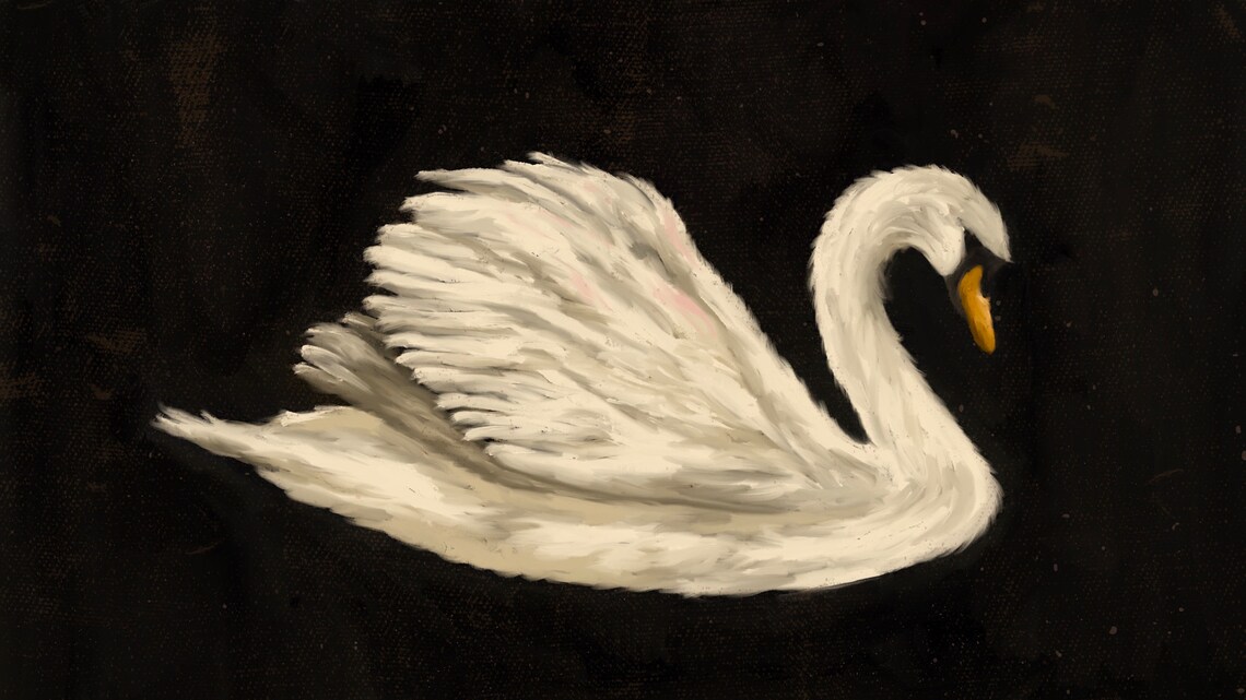 Samsung Frame Tv Swan Art Frame Tv Art Swan Art Frame Tv - Etsy