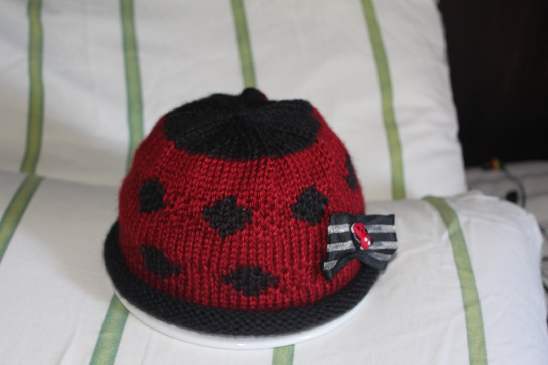 Sweet Ladybug Hat and Sweater Set - Etsy