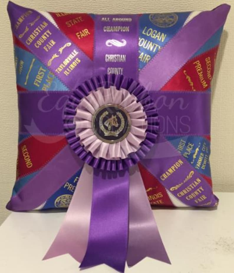 Horse Show Ribbon Pillow - "the Star" - Made to Order - Horse Show ...