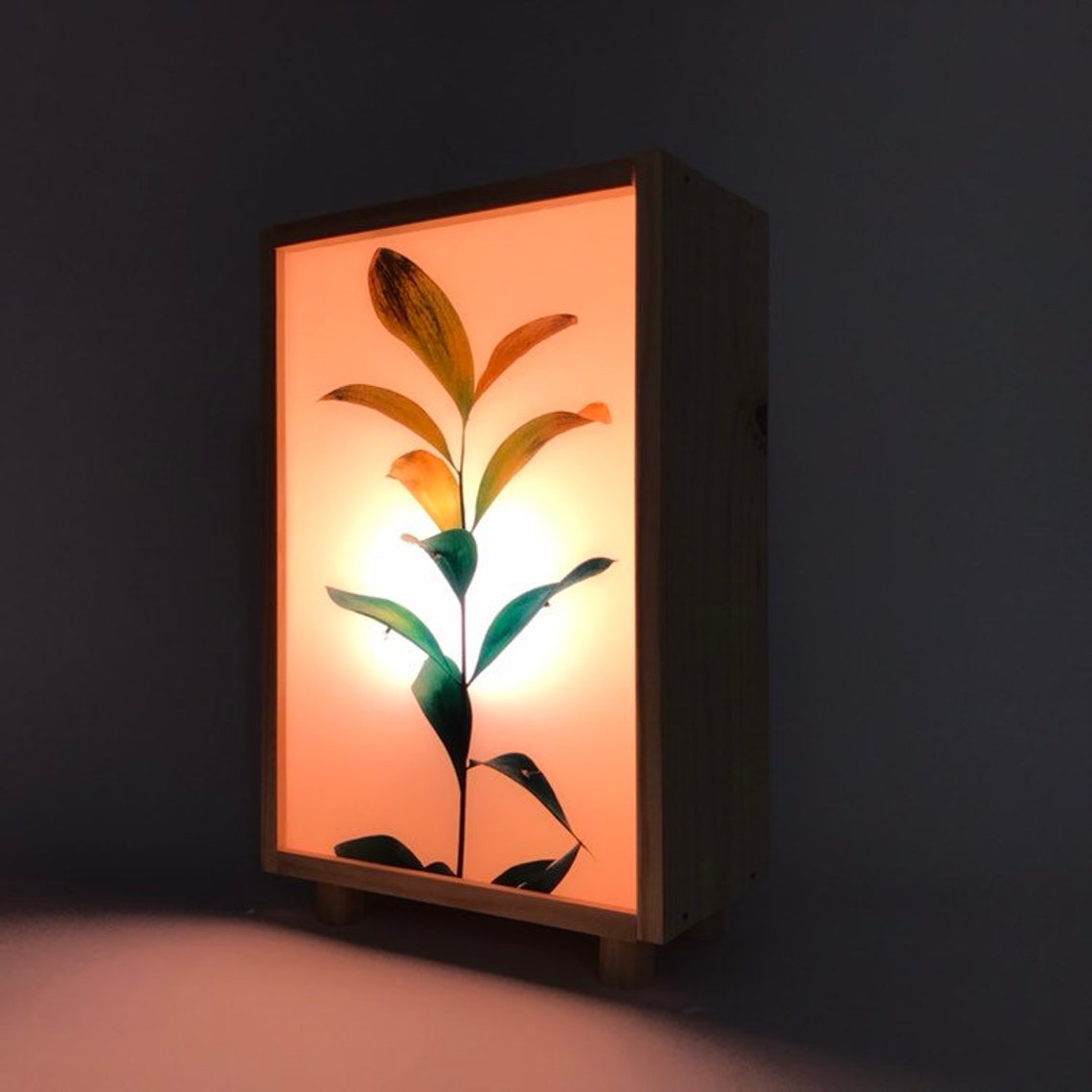 Plant Light Box Wooden Led Lamp Bedside Table Lamp Night - Etsy