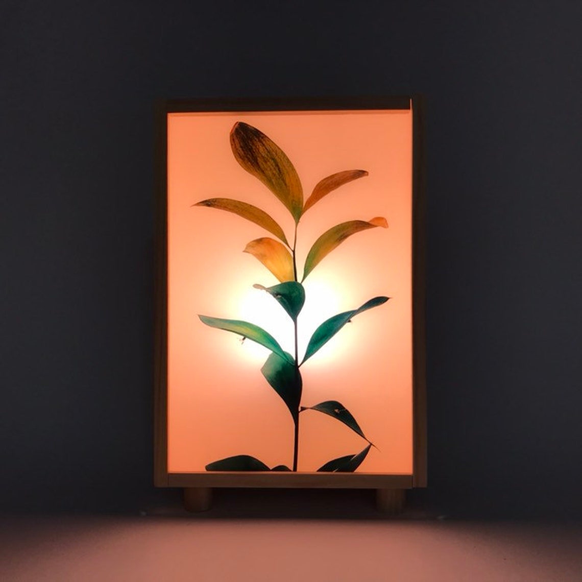 Plant Light Box Wooden Led Lamp Bedside Table Lamp Night - Etsy