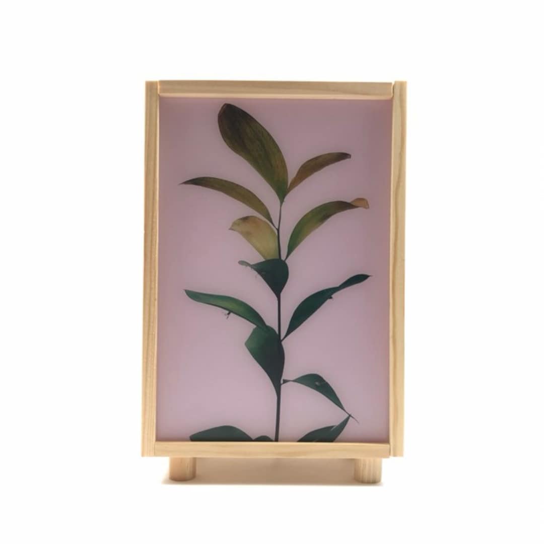 Plant Light Box, Wooden Led Lamp, Bedside Table Lamp, Night Light ...