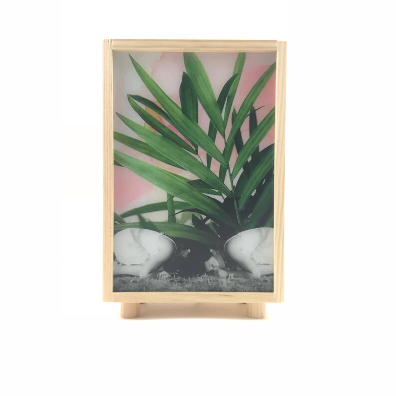 Plant and Girls Collage in Lovely Wooden Light Box, Pinewood Led Lamp ...