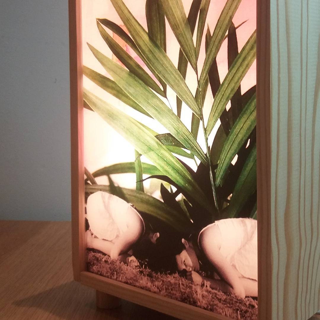 Plant and Girls Collage in Lovely Wooden Light Box, Pinewood Led Lamp ...