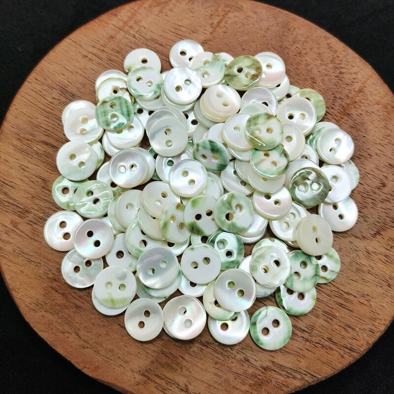 Trochus Shell - Etsy