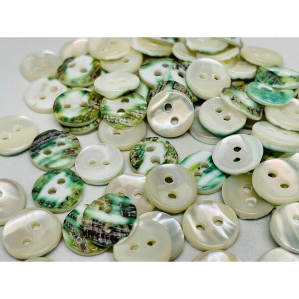 Trochus Shell - Etsy