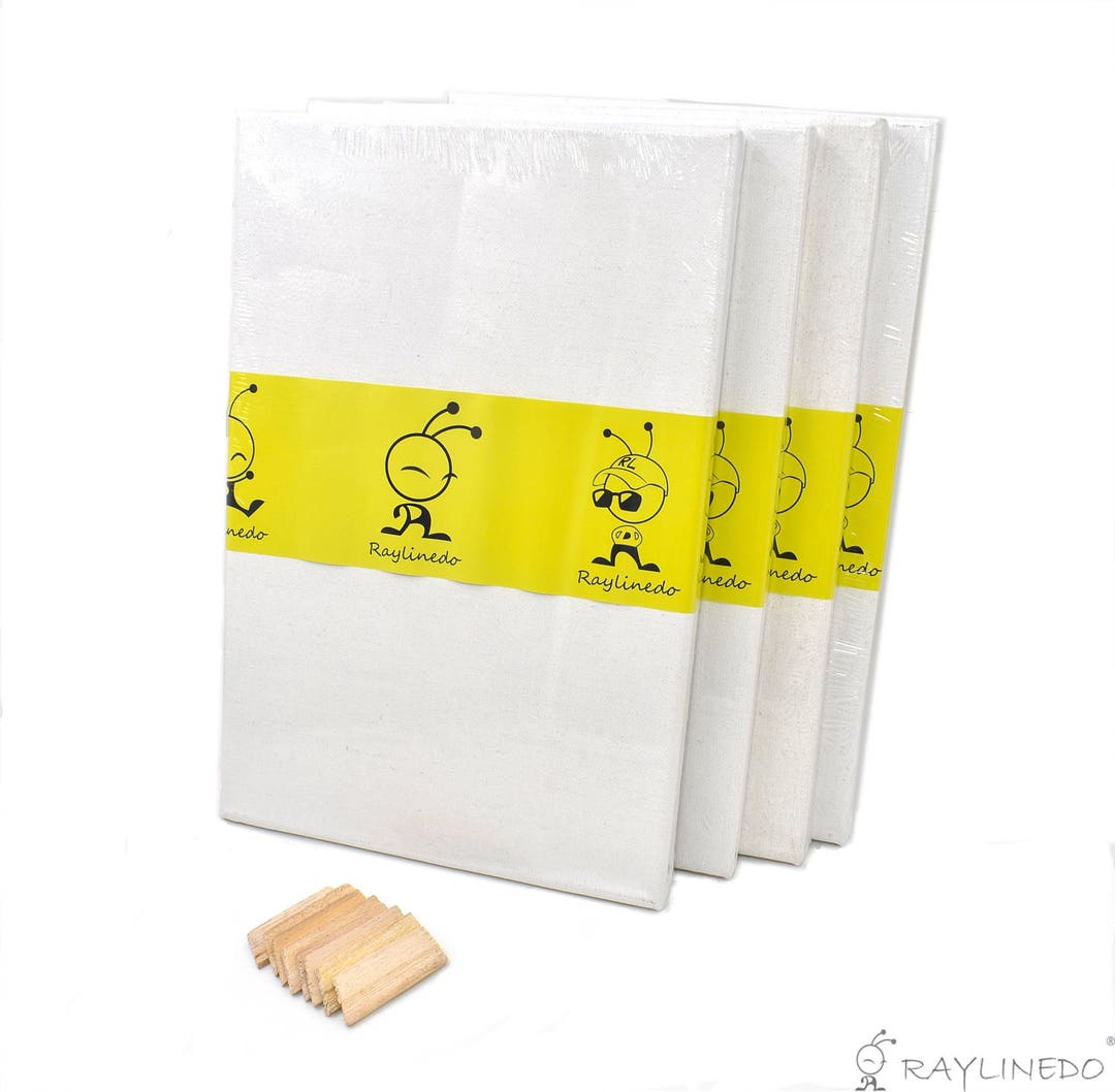 Set of 4pcs Artist Blank Canvas Frame 8x12inch 20x30cm Oil - Etsy