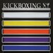 Kickboxing Belt Display - Modular Design! - Male OR Female Figure ...
