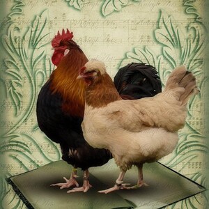 Printable, Journal, Vintage, Cards, Chickens ,digital Collage Sheet ...