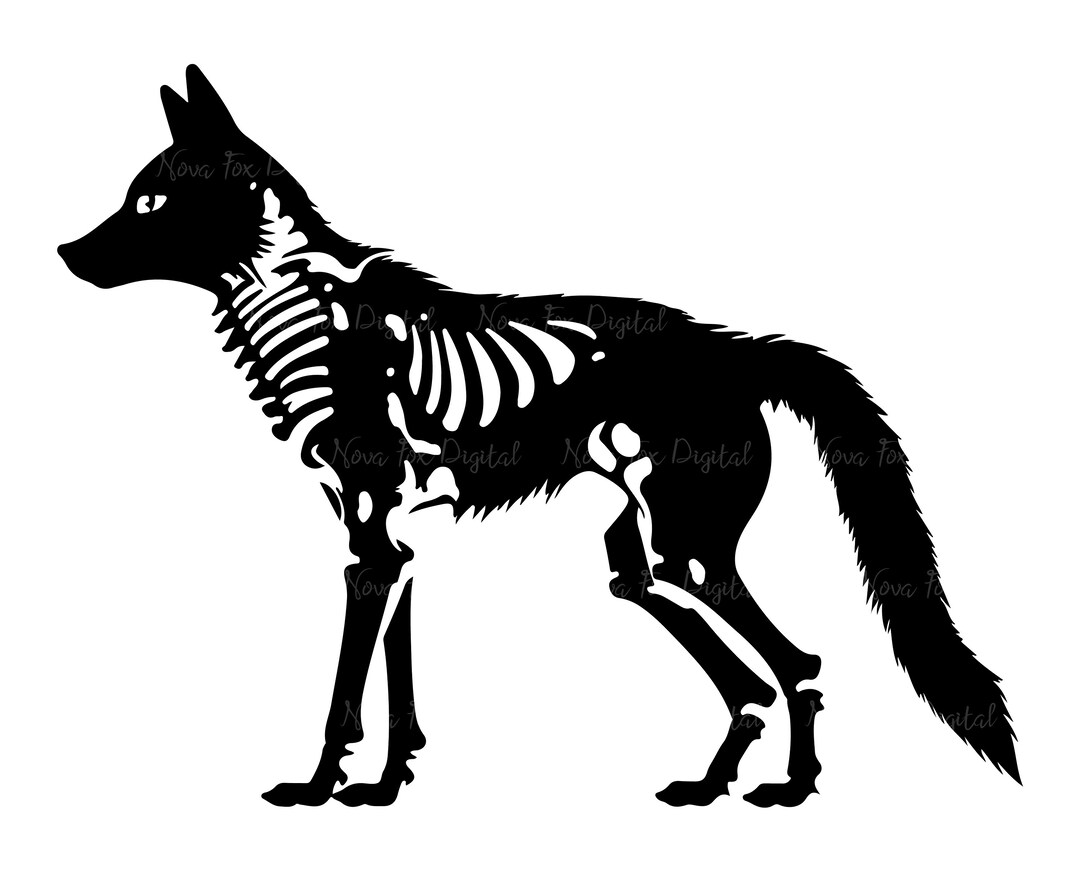 Skeletal Fox PNG, SVG, JPG Digital Download - Halloween Skeleton Fox ...
