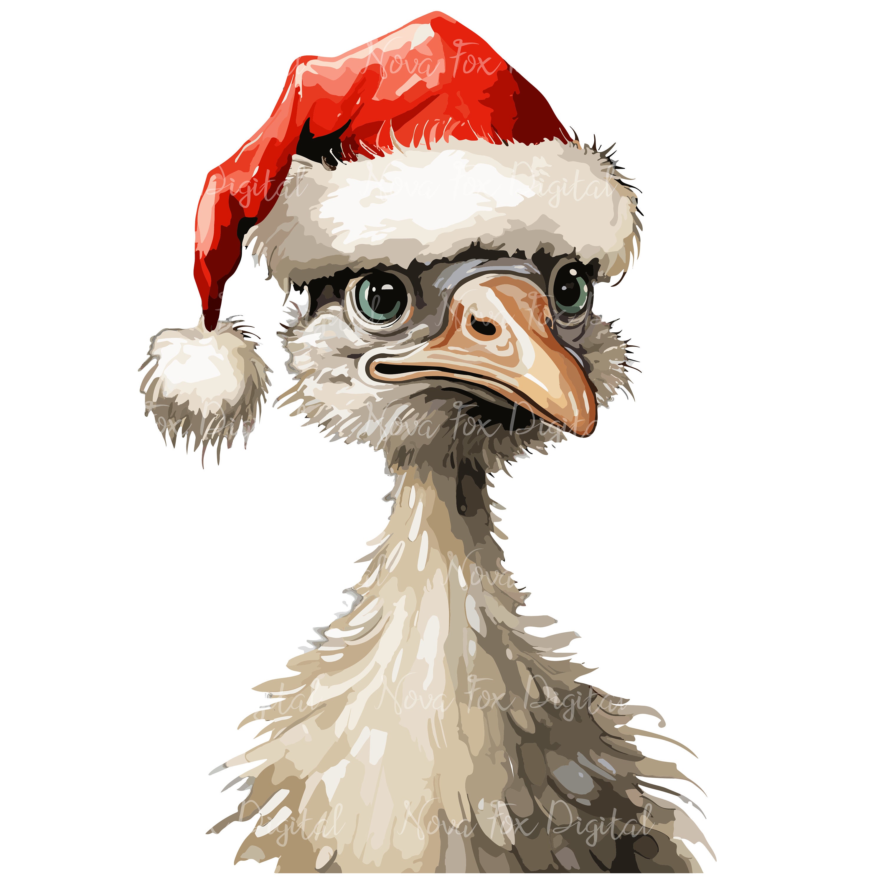 Christmas Ostrich PNG, SVG, JPG Digital Download - Great for ...