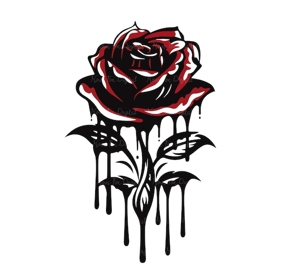 Black Rose Drawing Bleeding