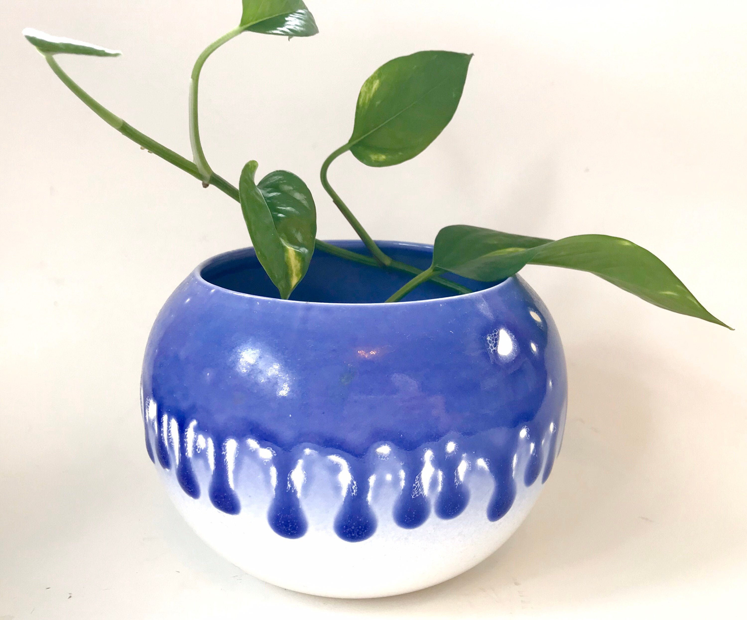 Deep Sea Knobby Planter ~ Indoor Outdoor Succulent Garden ~ Handmade ...