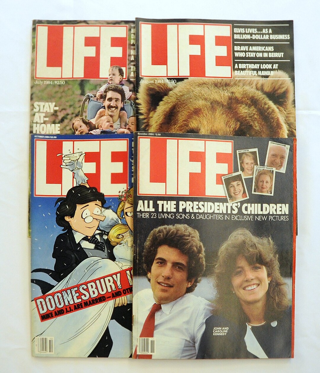 Vintage 1984 LIFE Magazines, Your CHOICE, Grizzlies, Stay Home Father ...