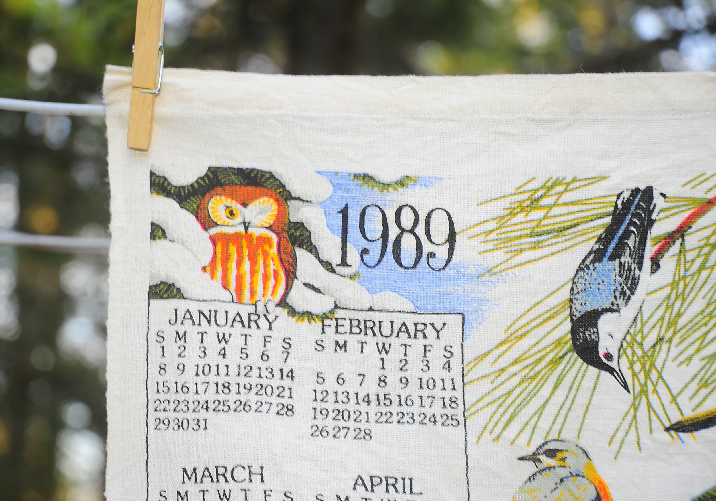 VTG 1989 / Backyard Birds Calendar Towel by Kay Dee / Bluebird ...