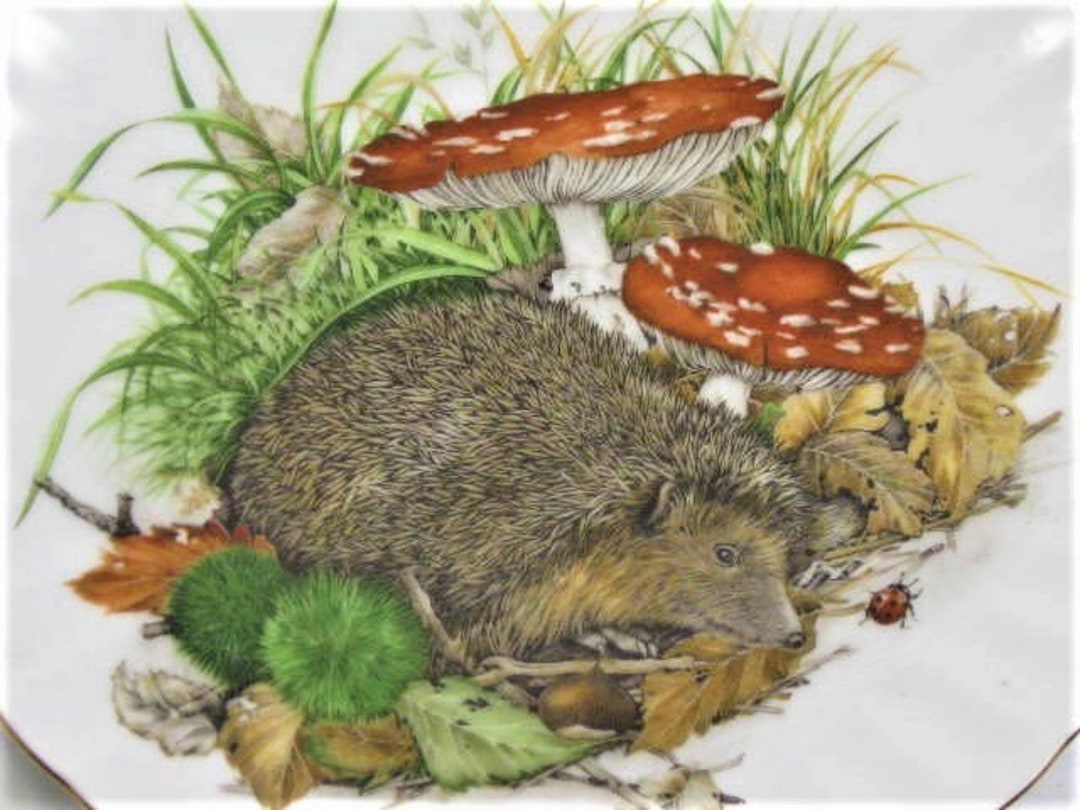 Ladybird Beetle Hedgehog Toadstool Dutch Nature Plate. Royal - Etsy