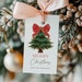 Merry Christmas Gift Tag Editable, Christmas Tree Tags, Holiday Tags ...