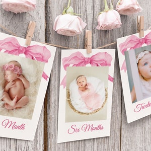 Fancy One Birthday 12 Month Banner, Girls 1st Birthday Photo Banner ...
