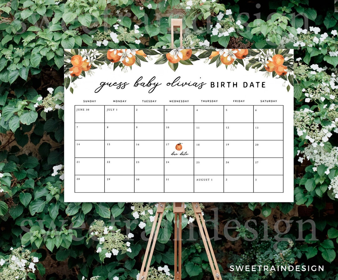 Little Cutie Baby Due Date Calendar Game, Guess the Due Date Prediction ...