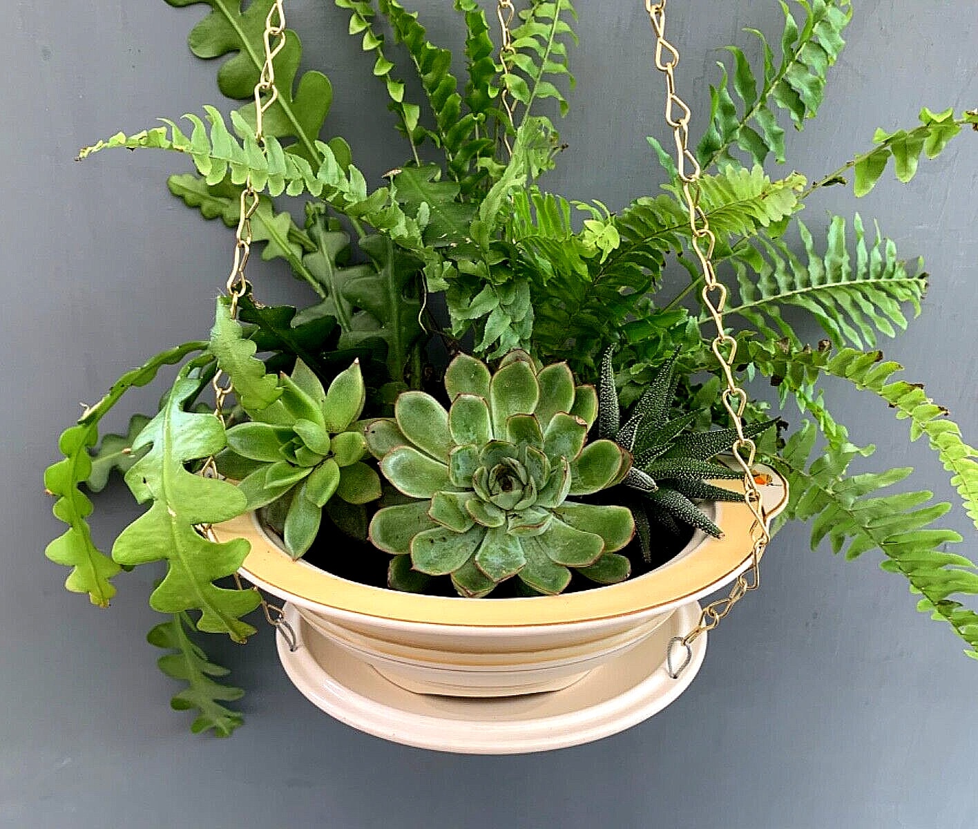 Unique 30s Antique H and K Tunstall Pottery LARGE HANGING - Etsy Hong Kong