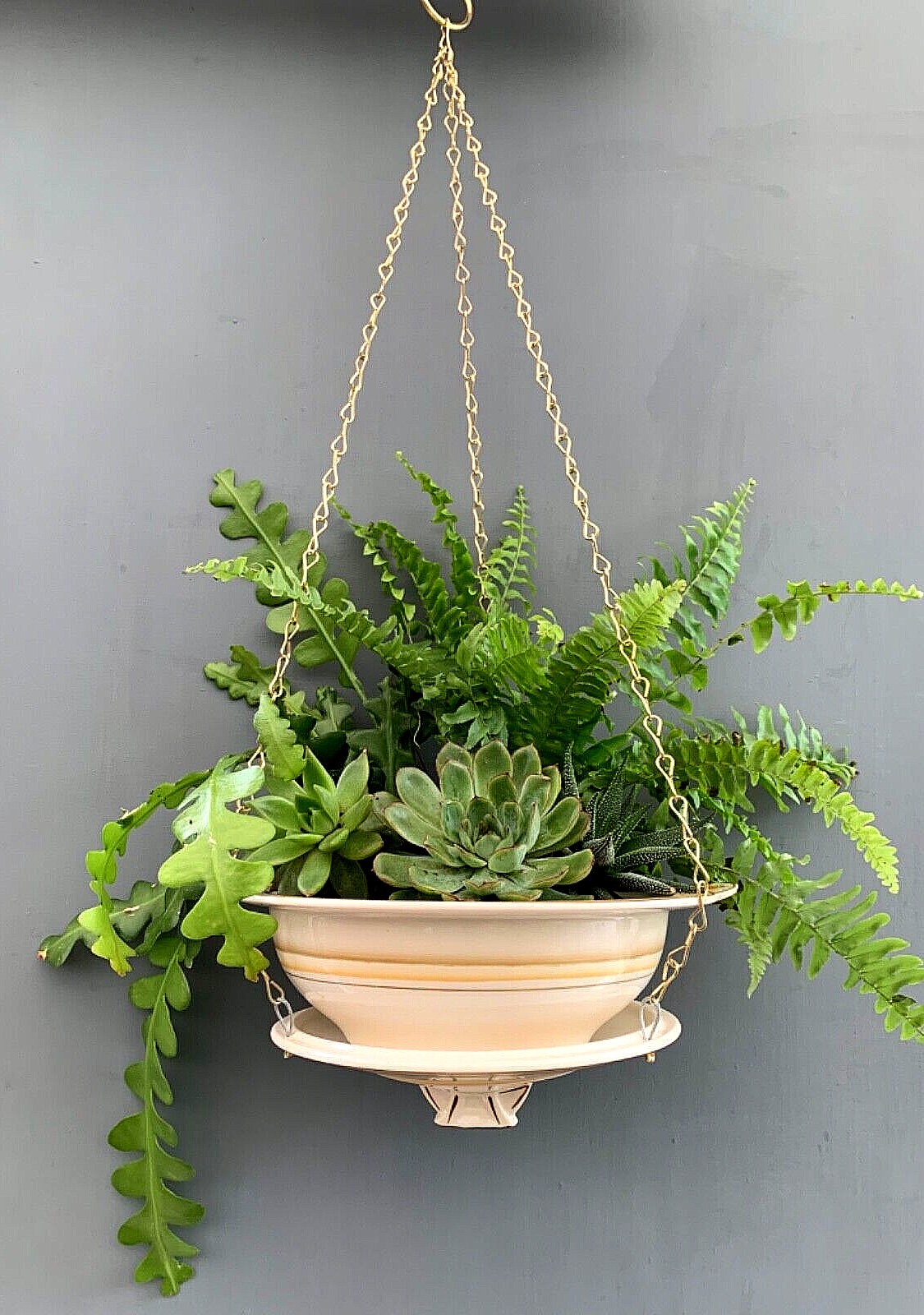 Unique 30s Antique H and K Tunstall Pottery LARGE HANGING - Etsy Hong Kong