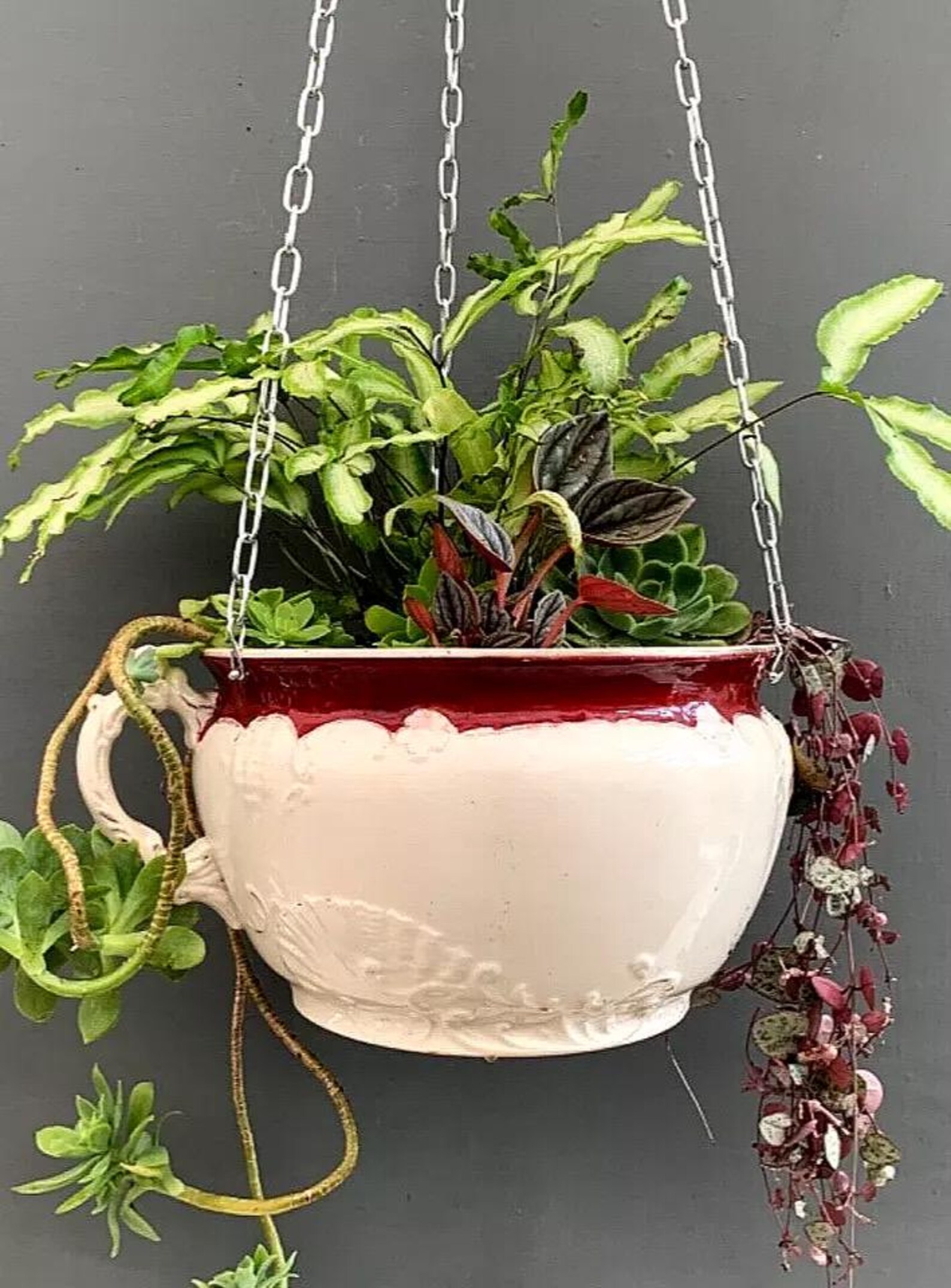 Victorian ANTIQUE Chamber Pot Pottery HANGING PLANTER Plant Pot - Etsy