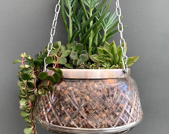 Beautiful Antique HANGING TERRARIUM PLANTER Clear Cut Glass and Silver ...