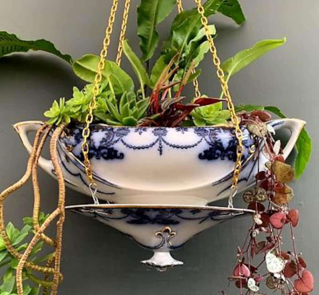 English ANTIQUE HANGING PLANTER Blue Transfer Ware Till & Sons Venus ...