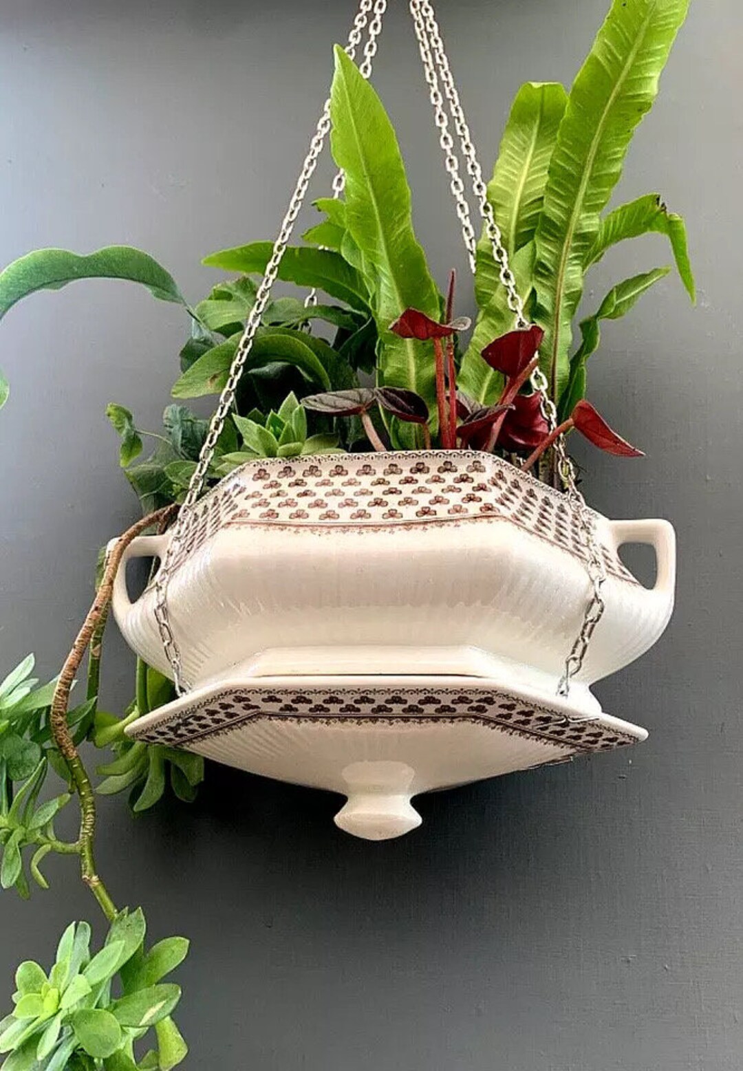 VINTAGE Adams ‘sharon’ Pottery HANGING JARDINIERE Tureen Planter Plant ...