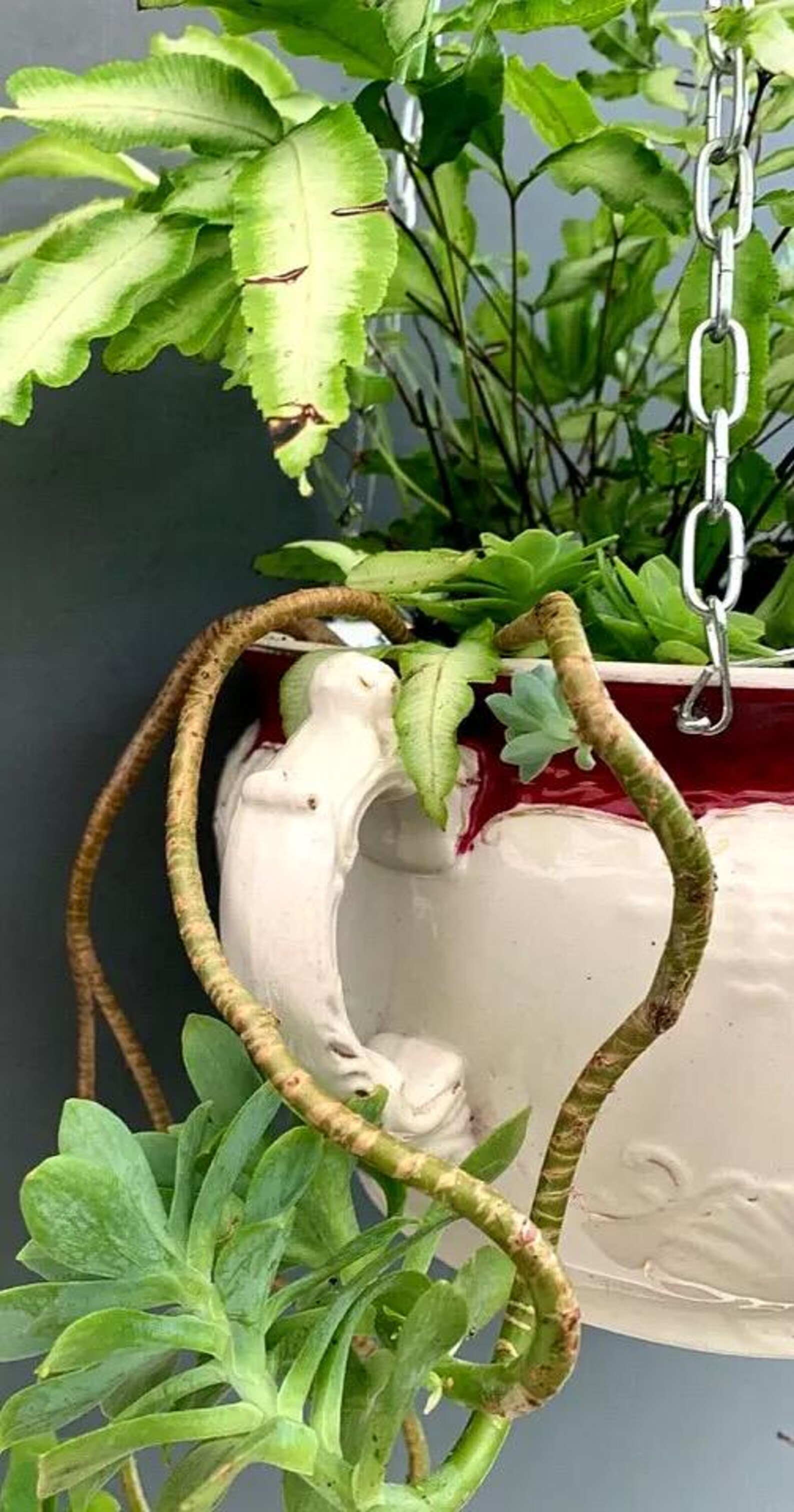 Victorian ANTIQUE Chamber Pot Pottery HANGING PLANTER Plant Pot - Etsy