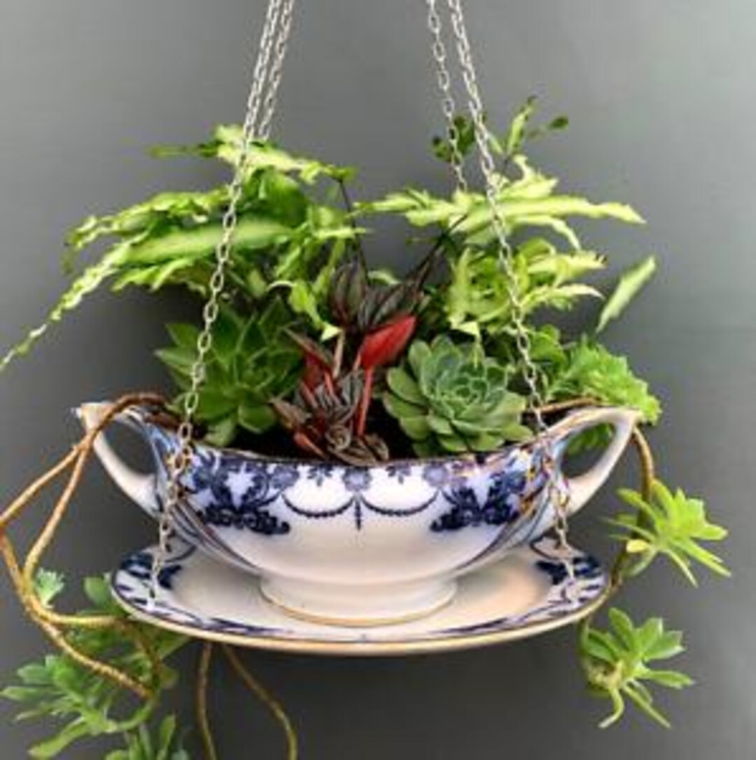 Unique Beautiful English ANTIQUE Blue Transfer Ware Till & Sons Venus ...