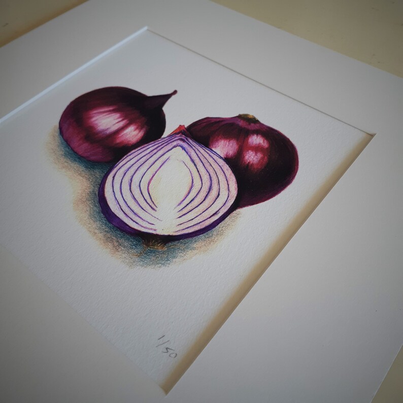 Red Onion Signed Giclee Art Print - Kitchen Wall Decor - Foodie Wall ...