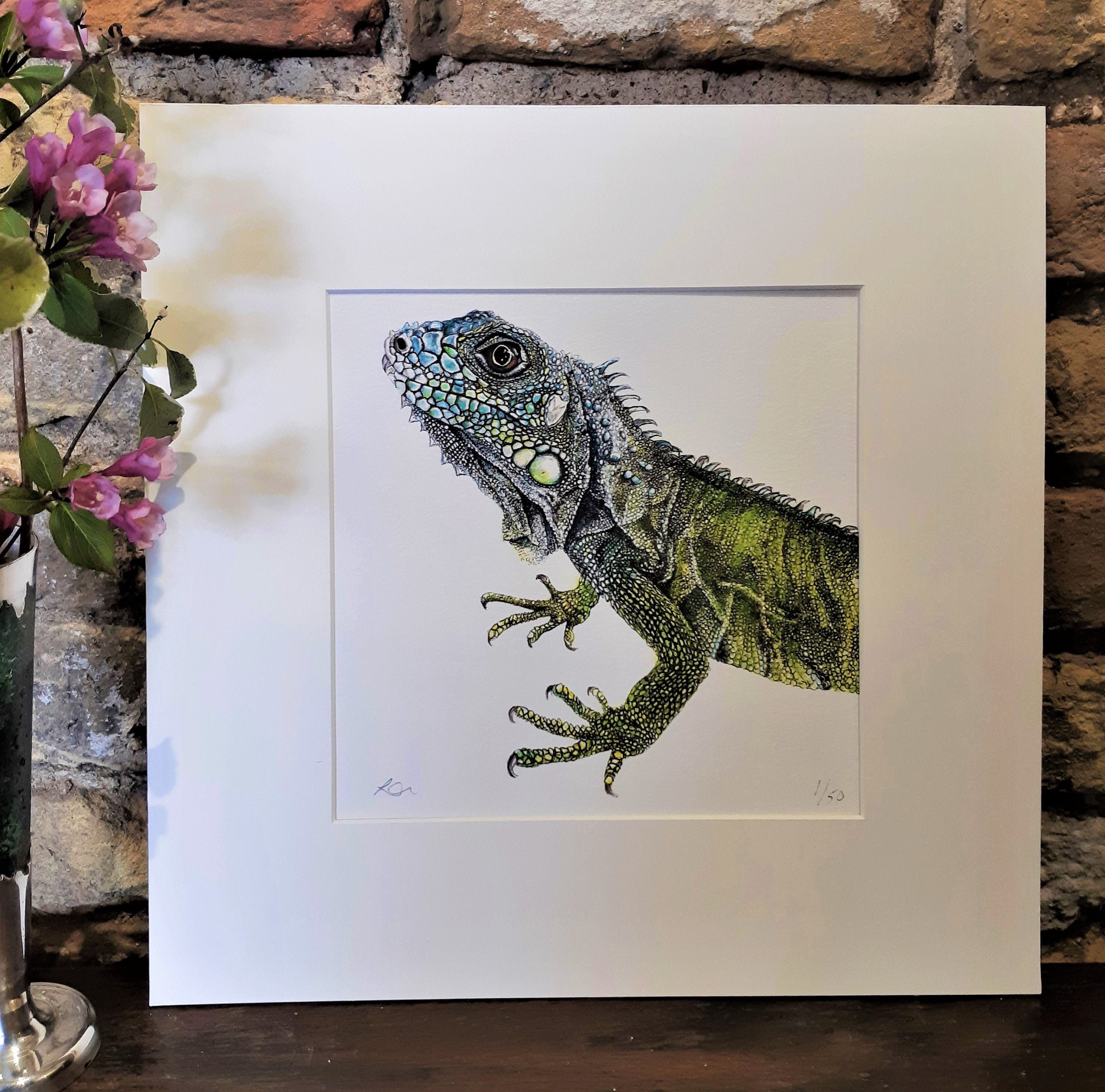 Desert Iguana Drawing