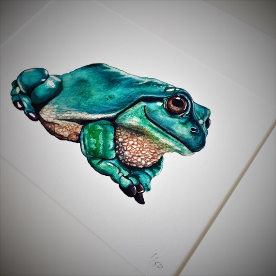 Linda Pintura De Rana