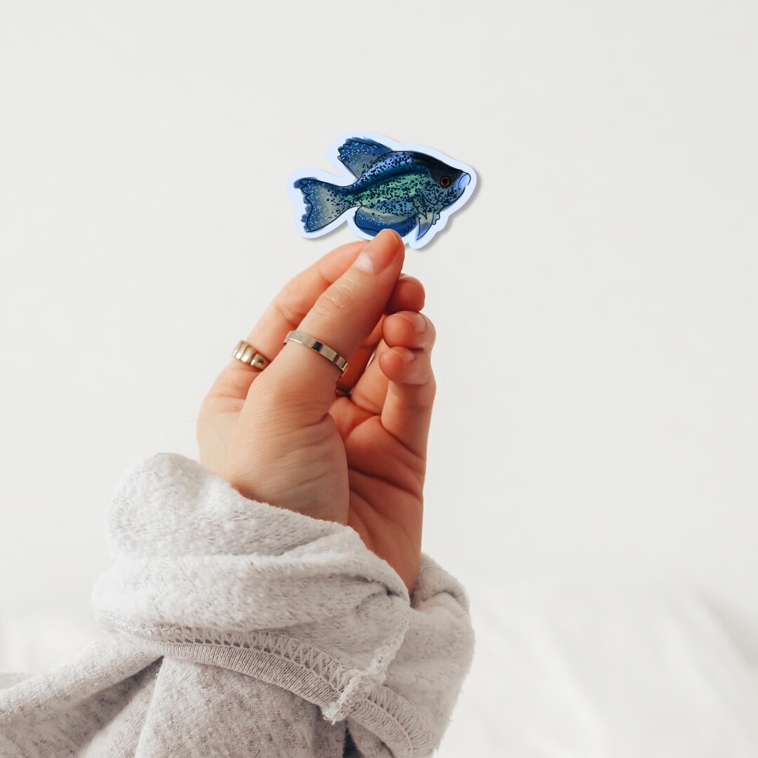 Blue Crappie Sticker: Lake Life, Fisherman Gift - Etsy