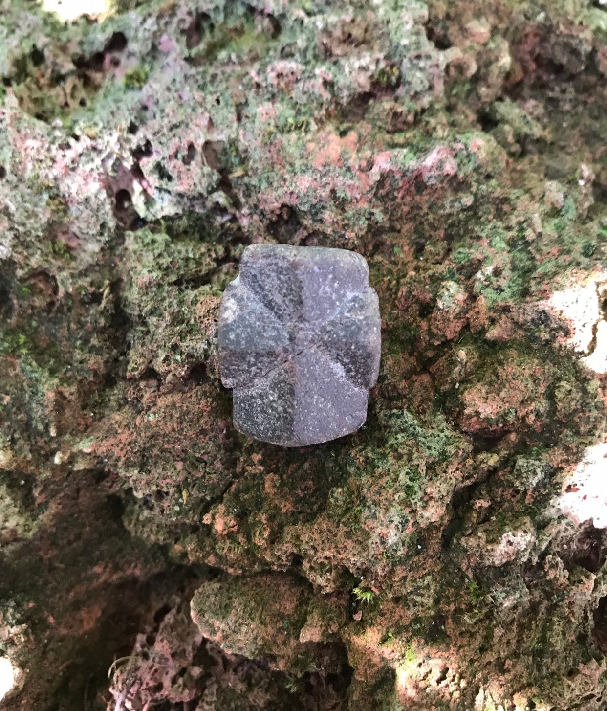 Fairy Stone Cross, Staurolite, Cruciform Twinning, New Mexico, 9.2 ...