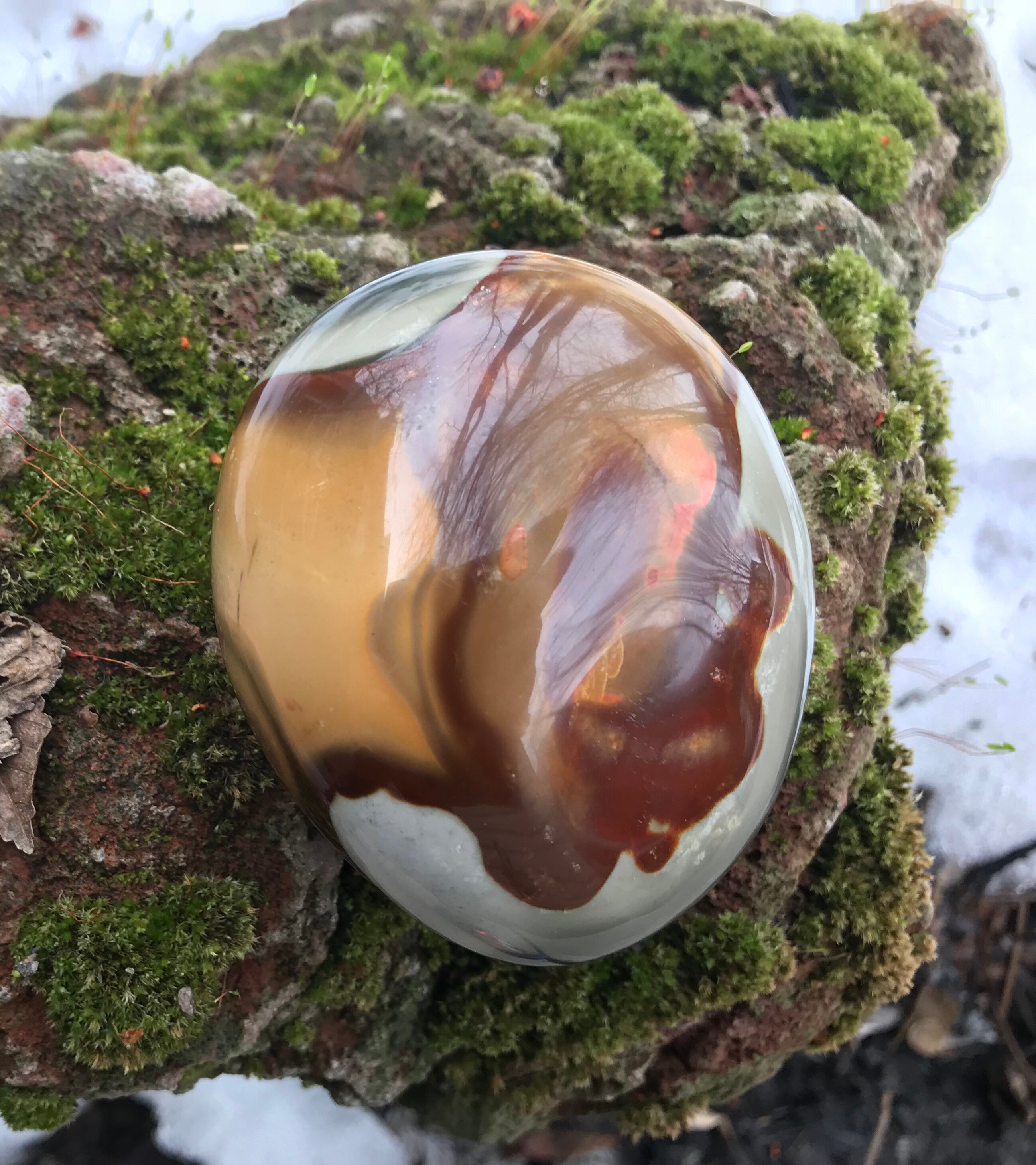 1/2 LB Large Polychrome Jasper, Polished Palm Stone, Madagascar, 244.3 ...