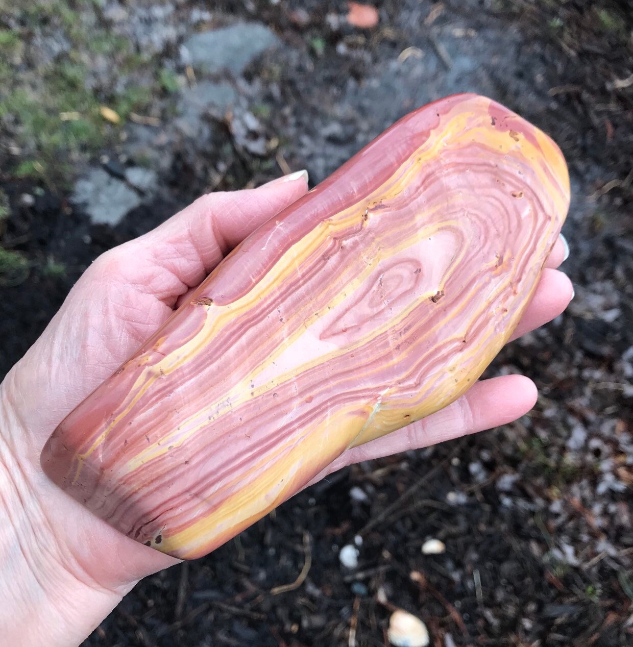 1.25 LBS Wonderstone Jasper, X-Large Display Stone, Nevada, 582.1 Grams ...