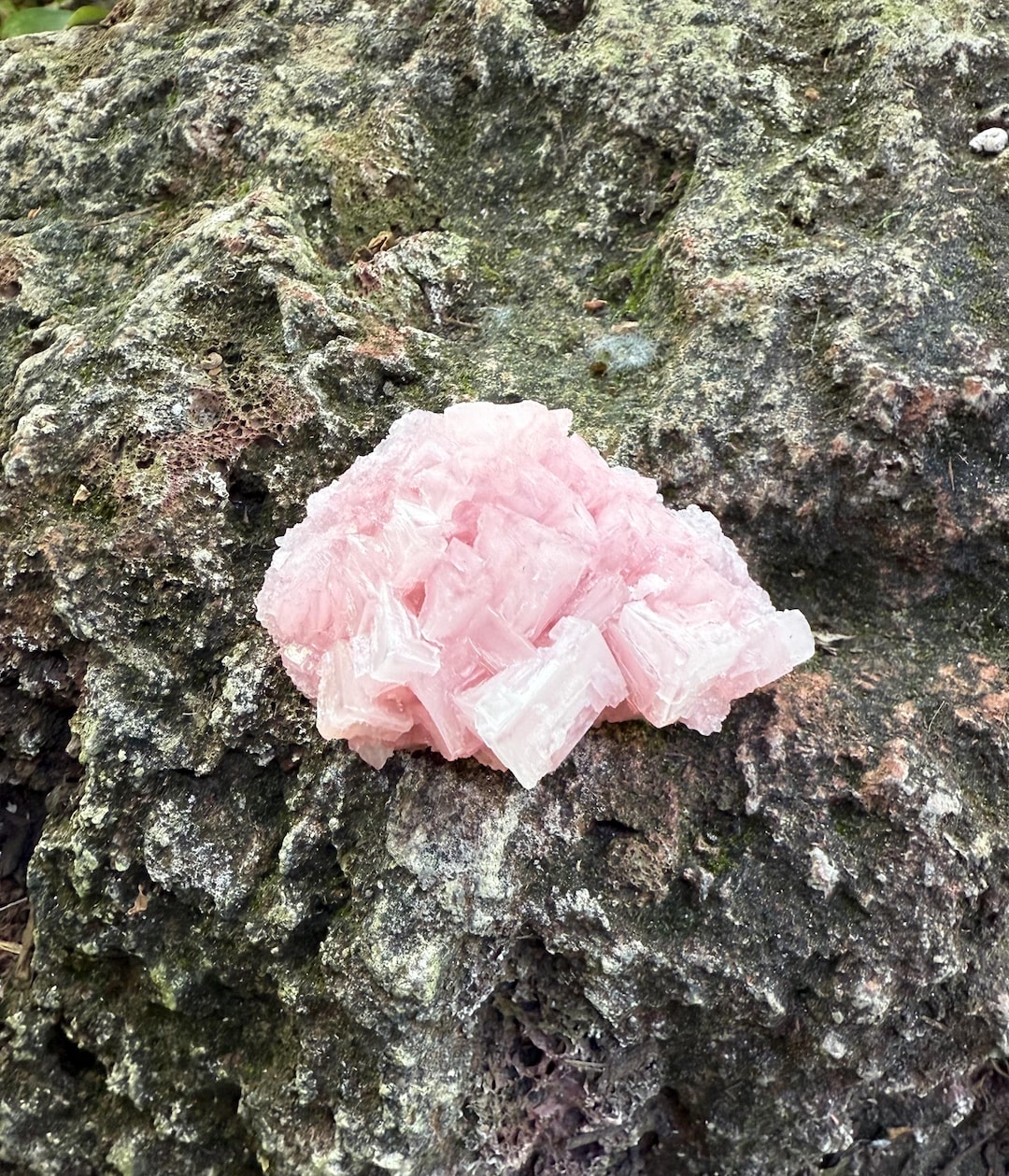 Pink Halite, Rock Salt Crystal, Hopper Crystals, Searles Valley ...