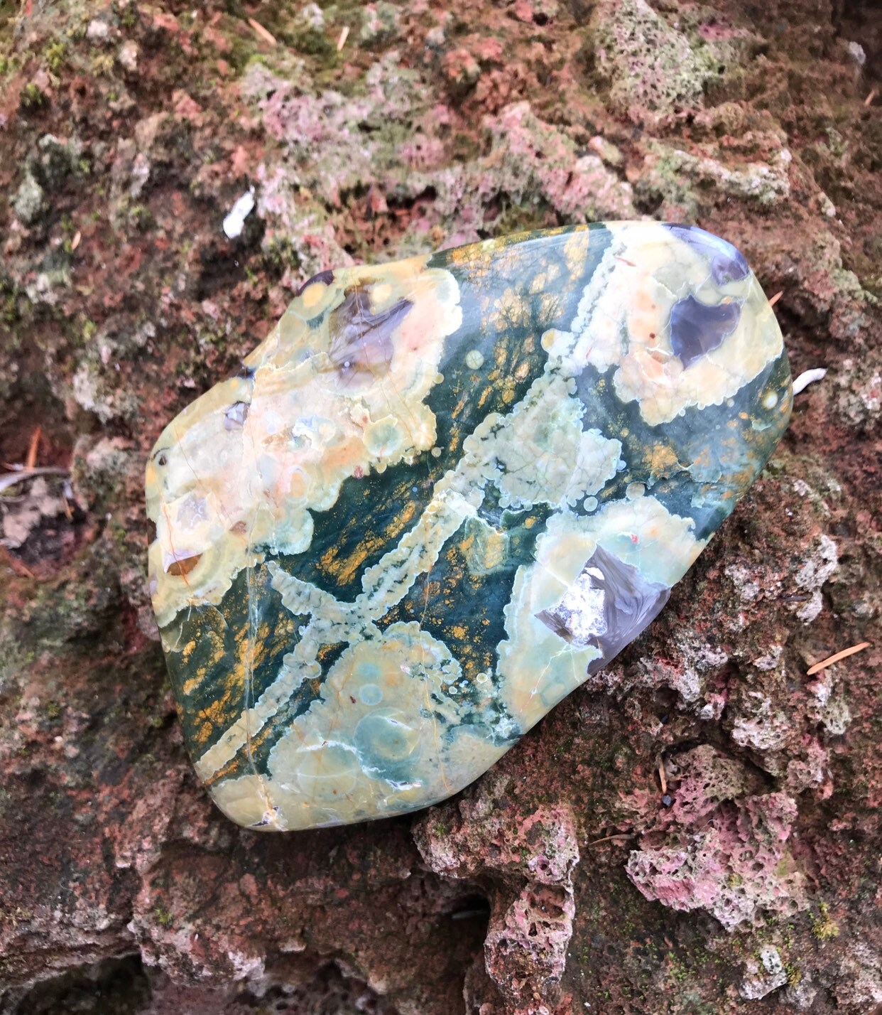 Sold to Kathleen 1/9*1/2 LBS Rainforest Jasper 223.9 Grams, 7.9 Ounces ...