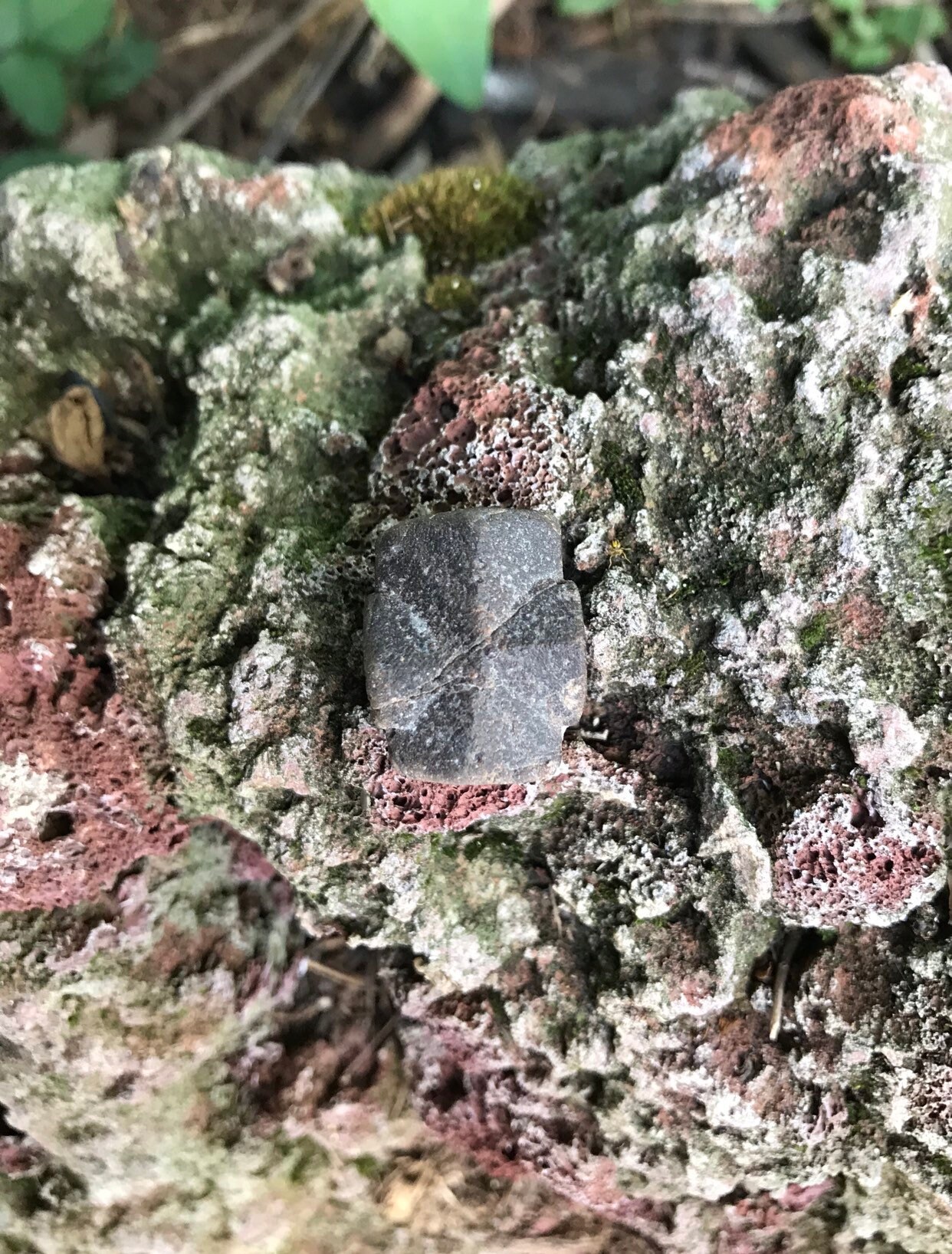 Fairy Stone Cross, Staurolite, Cruciform Twinning, New Mexico, 9.2 ...
