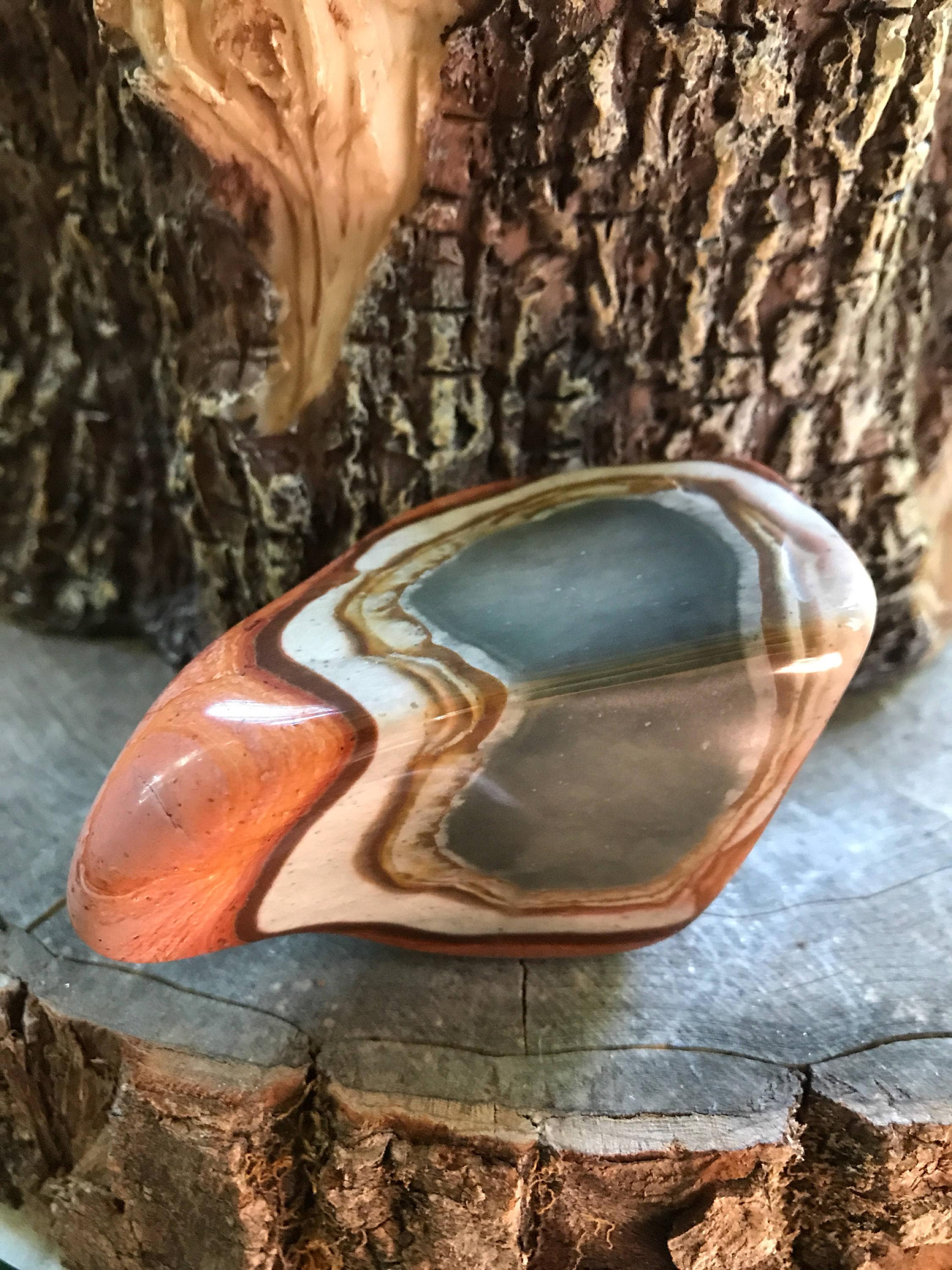 Reserved for Gatorchomp*Large Polychrome Jasper, Polished, 177.29 Grams ...