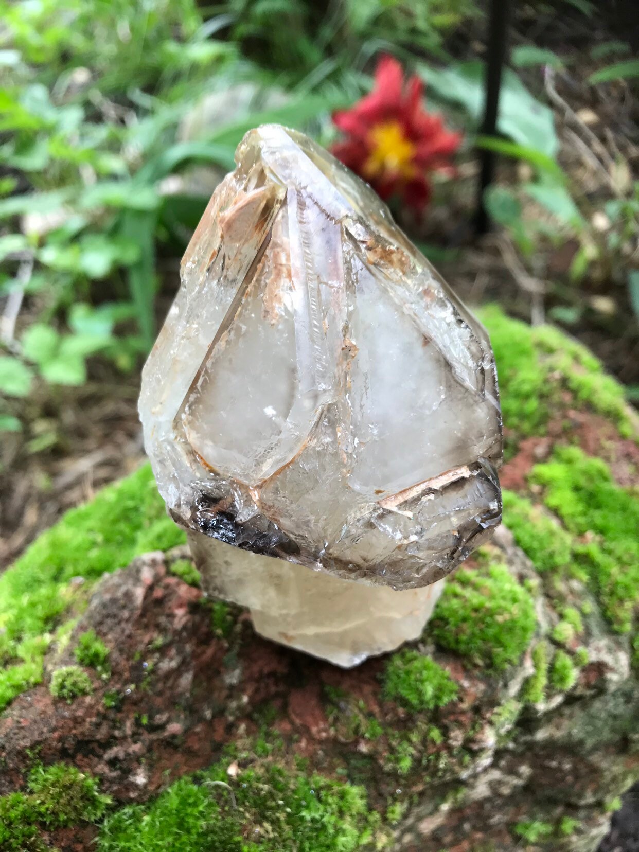 3/4 LB Himalayan Fenster Scepter Quartz, Raw Elestial, 340.3 Grams, 12. ...