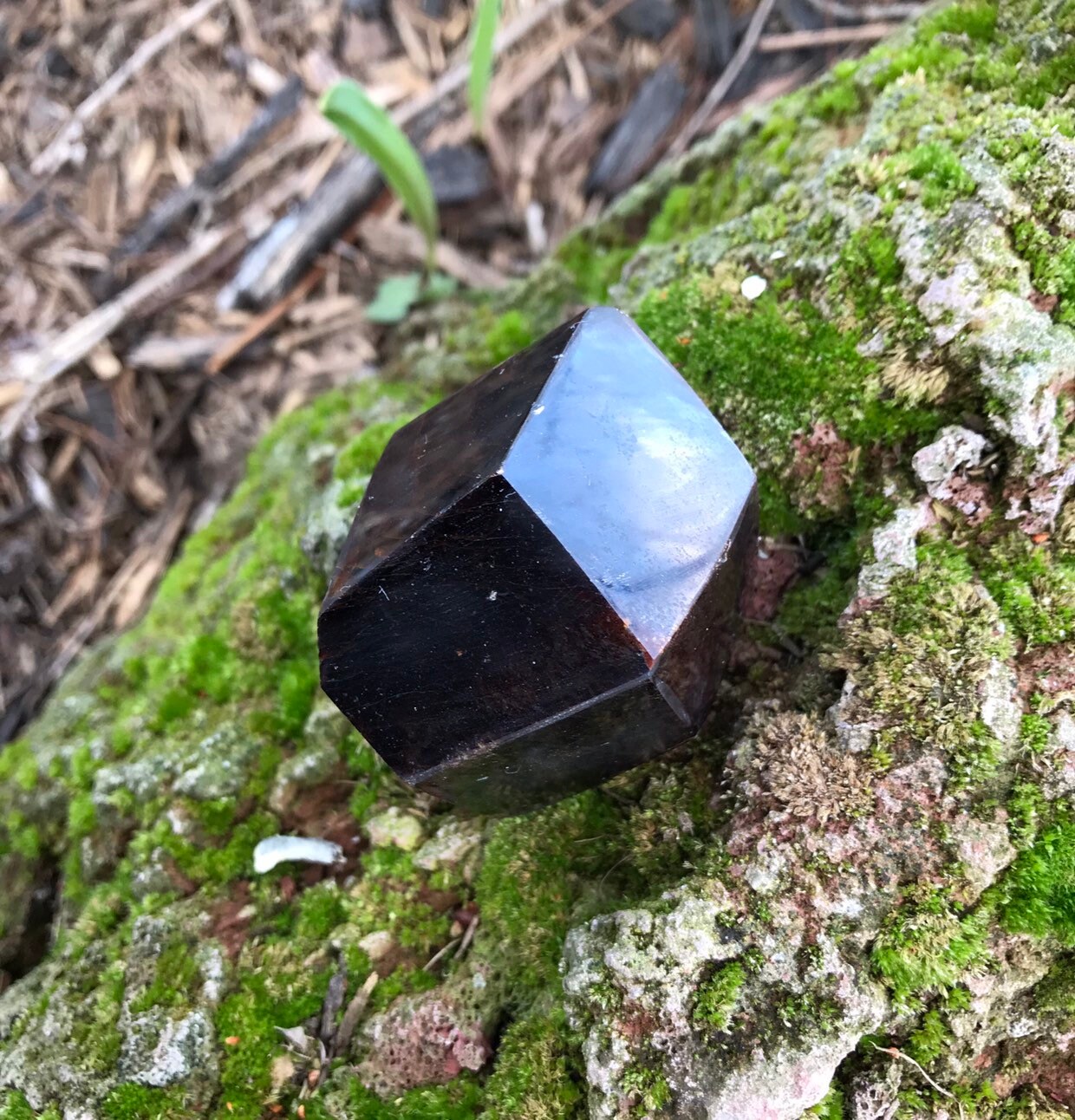 1/2 LB- Almandine Garnet Crystal, 62 mm, Polished, 203.4 Grams, 1017 ...