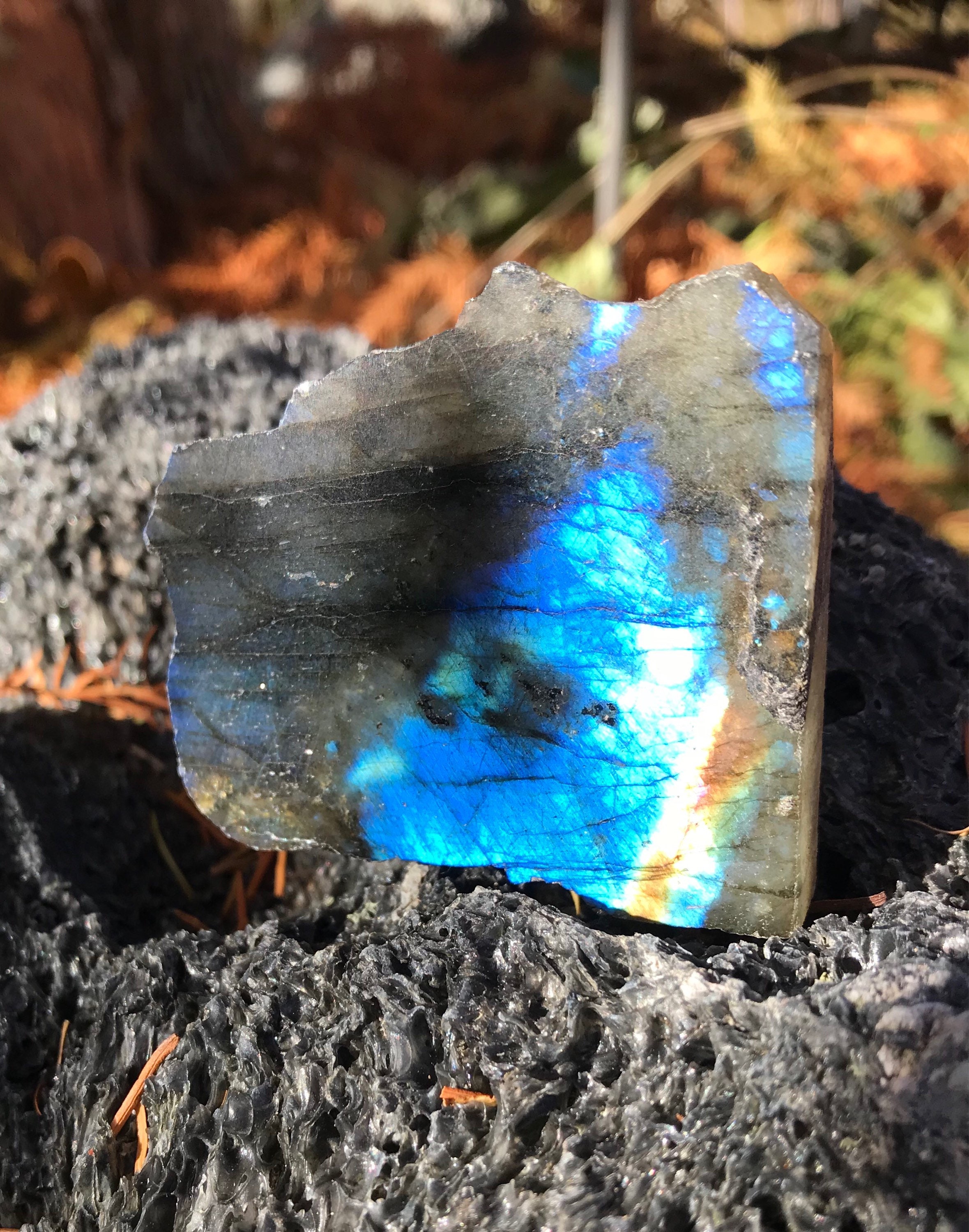 Labradorite Slab, Polished One Side, 57.5 Grams, CR2563