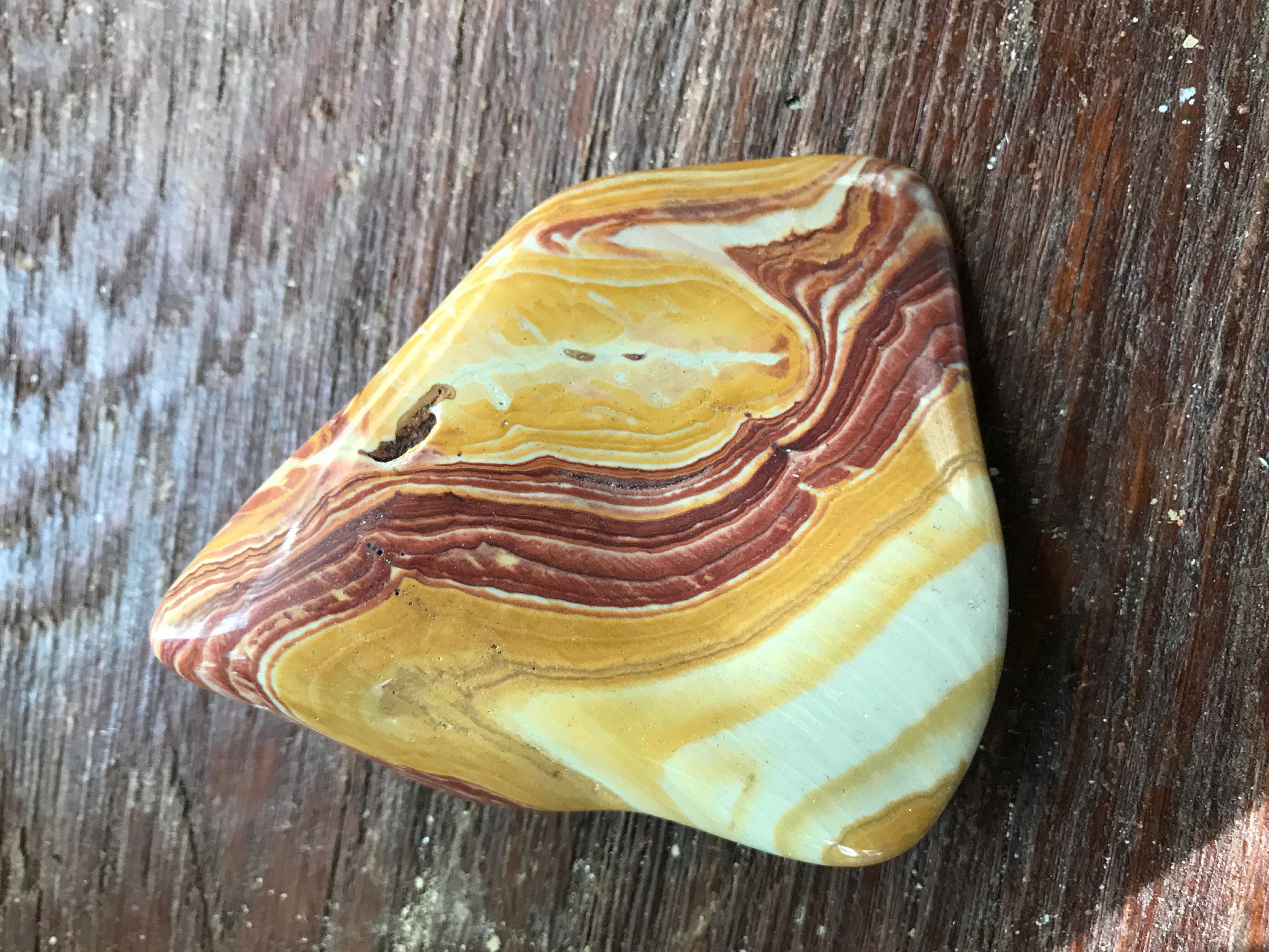 Wonderstone Jasper, 113.5 Grams, Nevada, CR2225