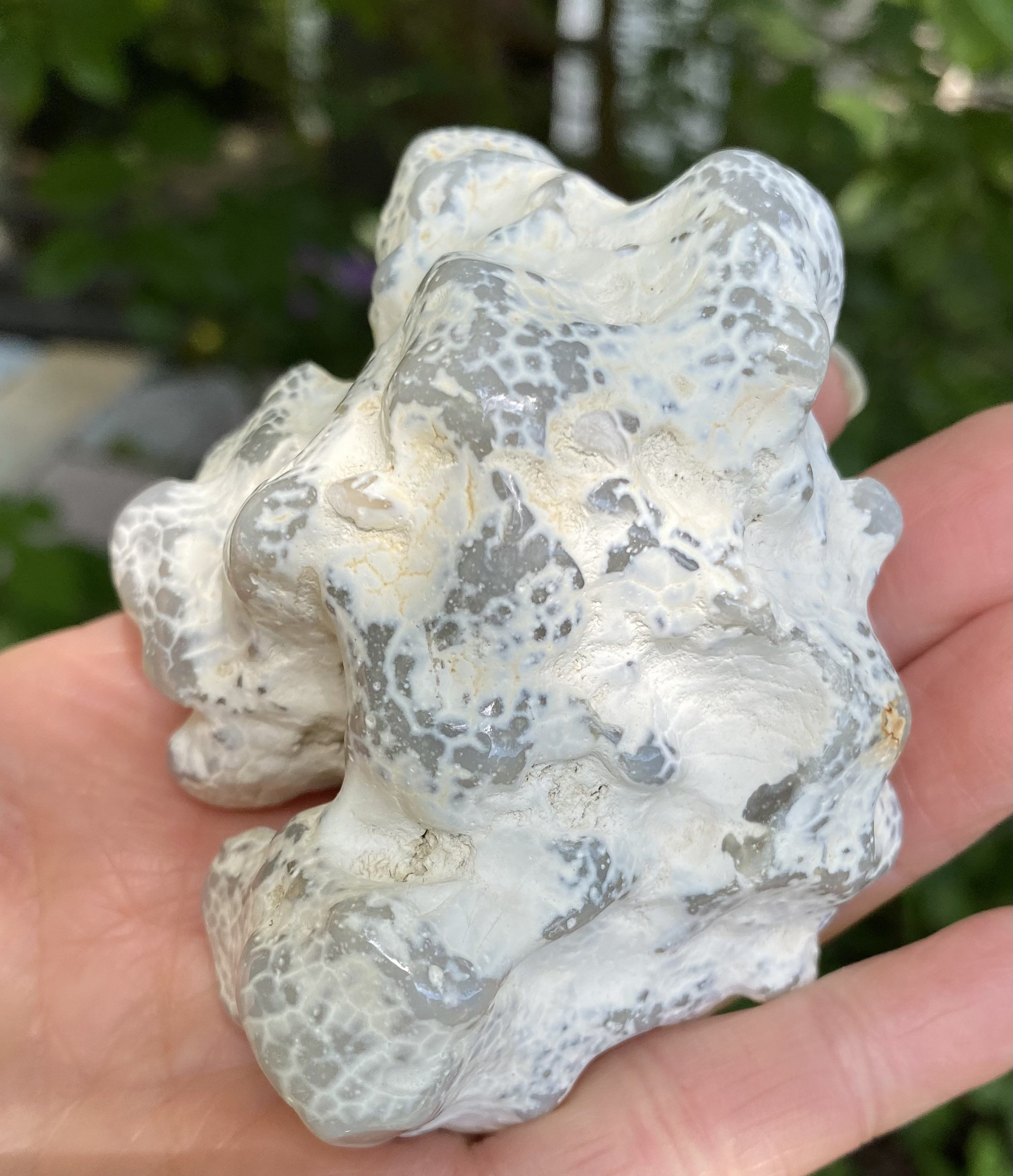 1/2 LB-SNAKESKIN AGATE, Knobby Palm Stone, Polished, 195.60 Grams ...