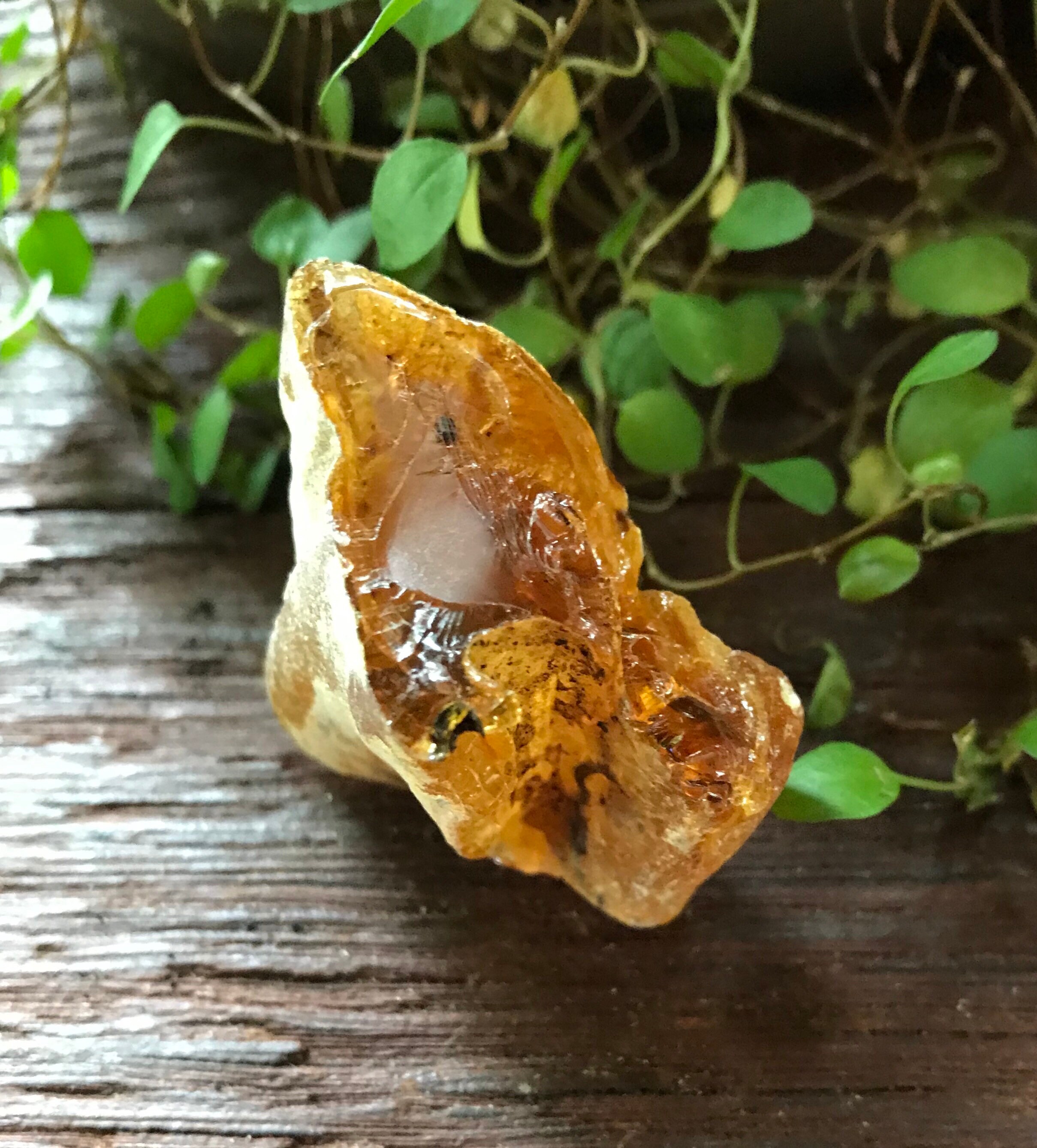 Raw Copal, Madagascar, 23.4 Grams, CR3597