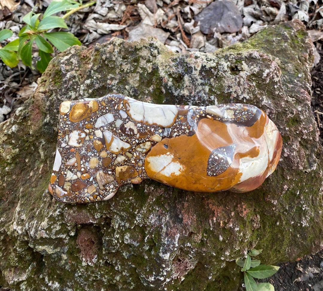 XL Pudding Stone, 2-1/3 LBS + Conglomerate, Tennessee, 1062.00 Grams ...